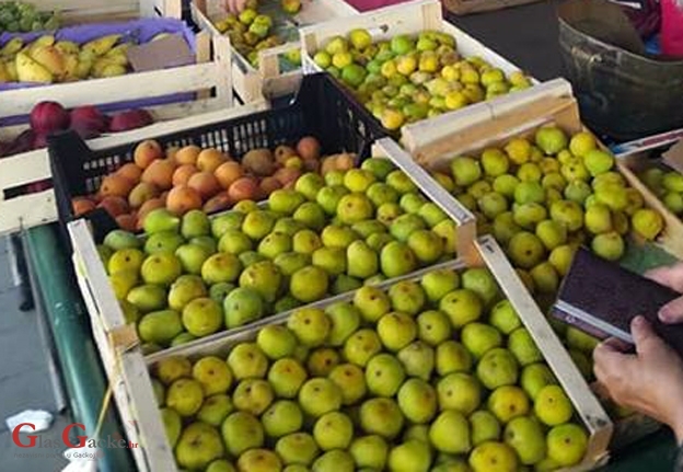 Kasu se siću smokav gegice u šakami držale, Glas Gacke - nezavisni ...